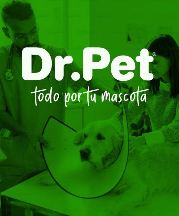 Dr.Pet Clínica Veterinaria - Todo por tu mascota